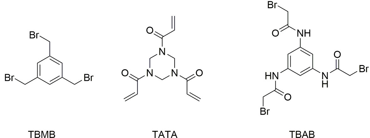 Compare the surface area of two cyclic peptides – AMBER-hub